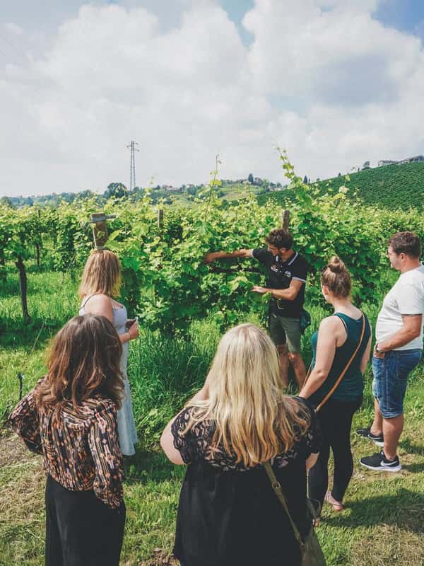 Wine tour from Venice to Prosecco Hills in small-group - From $173