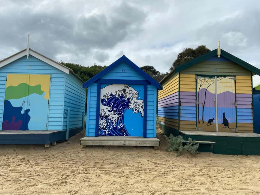 Melbourne: Moonlit Sanctuary and Brighton Beach Boxes Tour | GetYourGuide