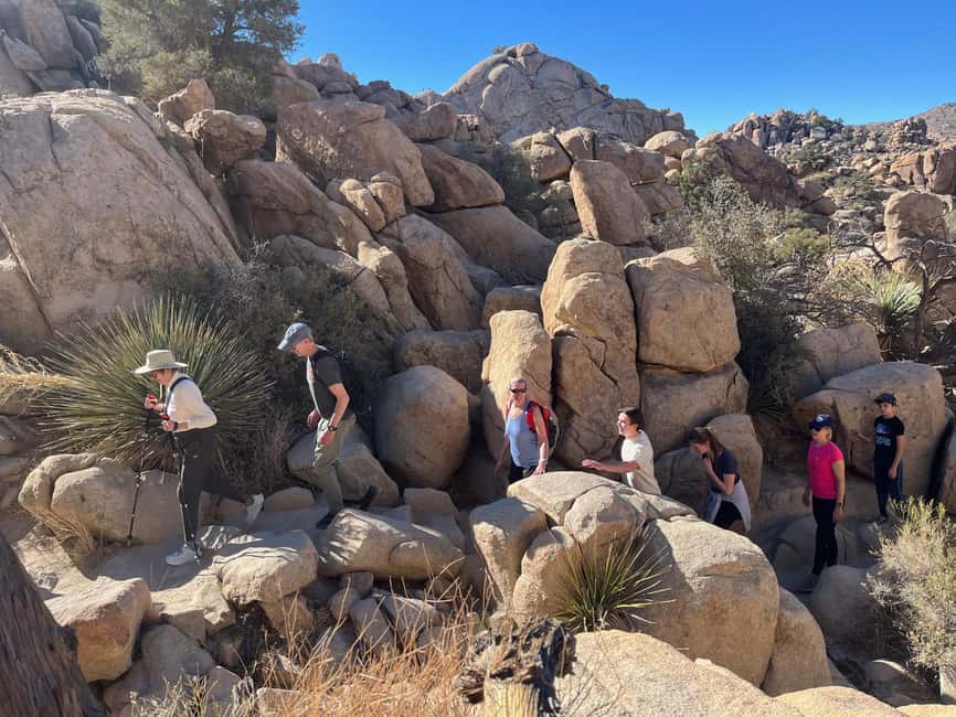 Ultimate Joshua Tree National Park private group adventure | GetYourGuide