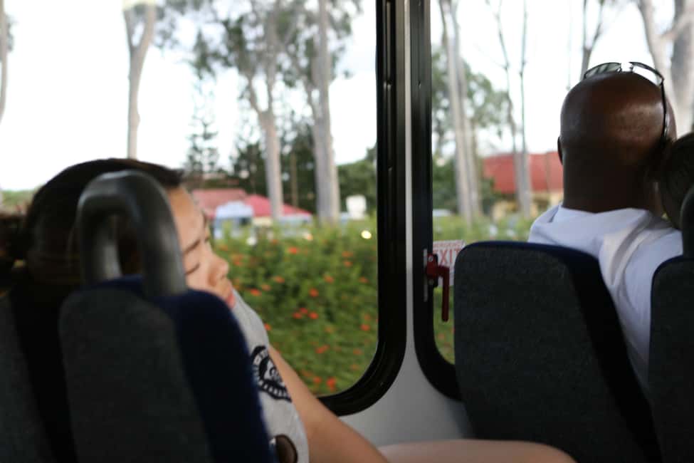 Oahu: Circle Island Tour with Lunch & Waimea Waterfall | GetYourGuide