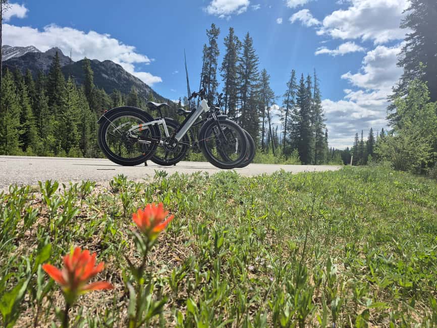 Banff Top Sights E-Fat Bike Tour – All Skill Levels | GetYourGuide