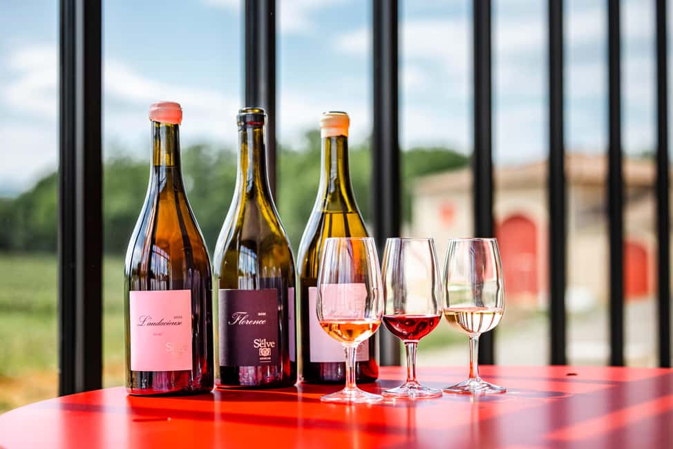 Ardèche: guided tour of our wine estate with tasting | GetYourGuide