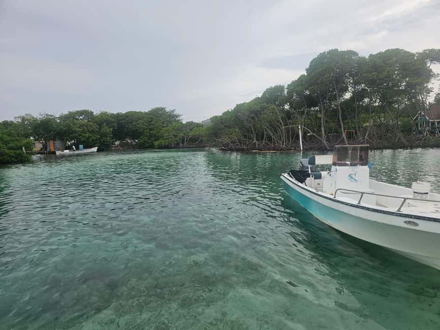 Roatan: East End-tour met Garifuna-cultuur en mangroves | GetYourGuide