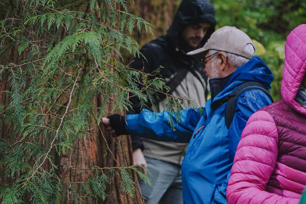 Ketchikan: Alaska Rainforest Sanctuary and Totem Park Walk | GetYourGuide