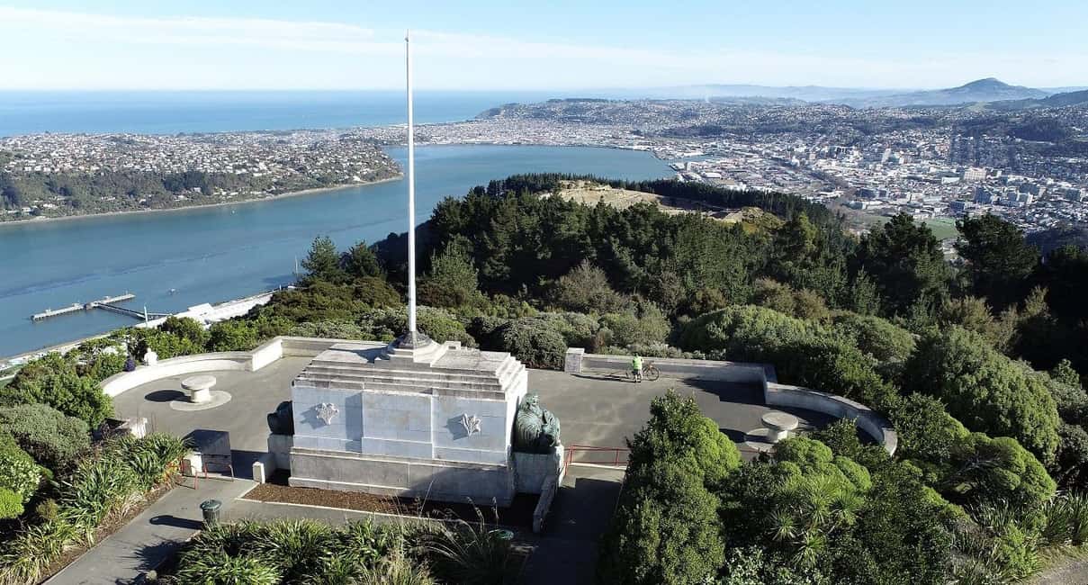 Dunedin City & Otago Peninsula Scenery Day Tour | GetYourGuide