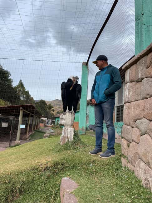 Cusco: Animal Sanctuary Tour with Rescued Animals | GetYourGuide