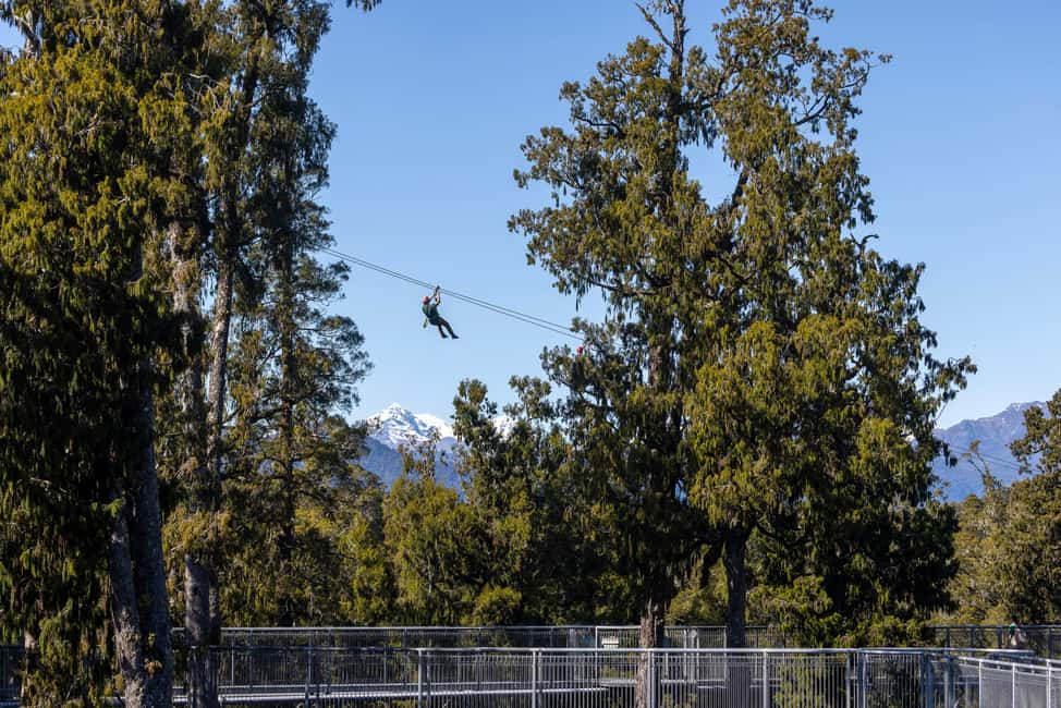 Hokitika: West Coast Treetop Walkway Entrance Ticket | GetYourGuide