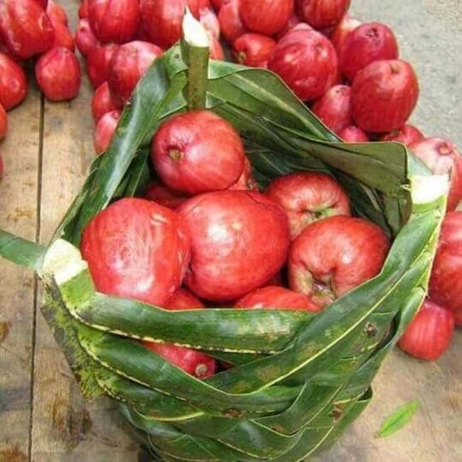 Pemba Island: Spice Farm, Chake Chake & Mkama Ndume Tour | GetYourGuide