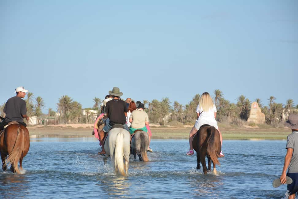 Djerba: 2h Horse Ride on Beach & Berber Trails Experience | GetYourGuide