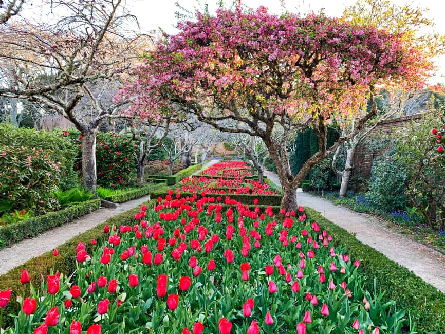 Woodside: Filoli Historic House and Garden Entry Ticket | GetYourGuide