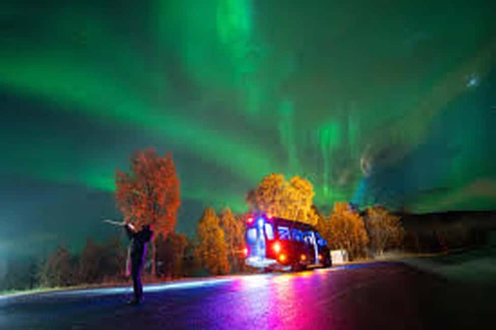 Tromsø: Northern Lights, Reindeer Feeding, Sami Camp, Museum | GetYourGuide