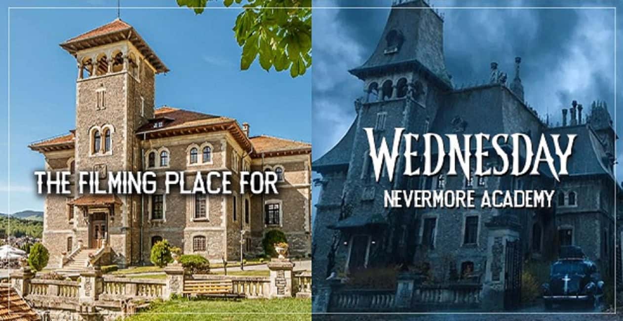 3 Castles Bus Tour: Peleș, "Wednesday" & Dracula Castles | GetYourGuide