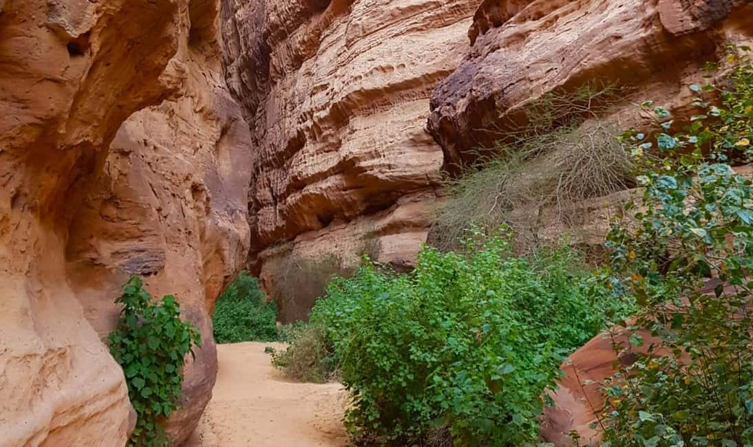 Al Ula: Explore Wonders of the Desert | GetYourGuide