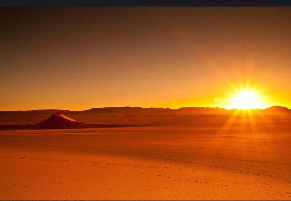 Doha: Sunrise Desert Safari with Sand boarding & inland sea | GetYourGuide