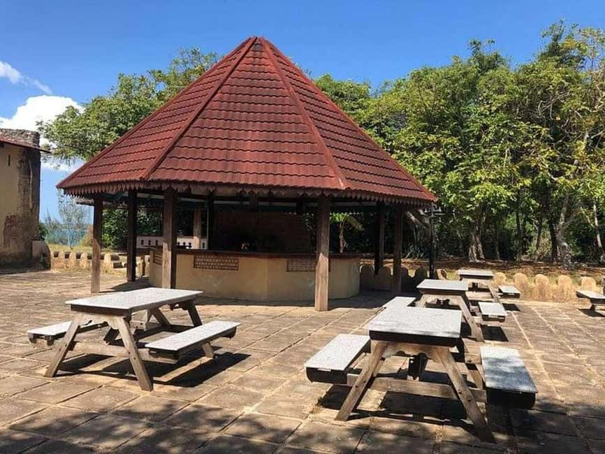 Pemba Island: Ngezi Forest Hike and Cliff Jumping Tour | GetYourGuide