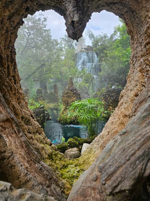 Chiang Mai: Dantewada Land of Angels & Sticky Waterfall Tour | GetYourGuide