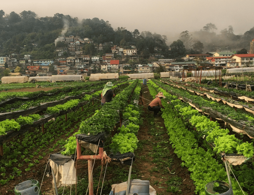 Manila: 3-Day Sagada, Baguio, & Banaue Rice Terraces Tour | GetYourGuide