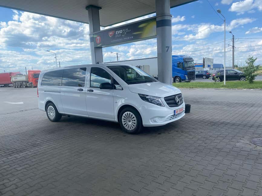 Barna medvefigyelő túra a Transfagarasan úton | GetYourGuide