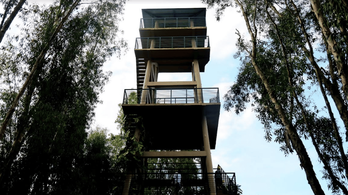 HCM/Chau Doc: Discover Tra Su & Dai Quan Sat Full Day Tour | GetYourGuide