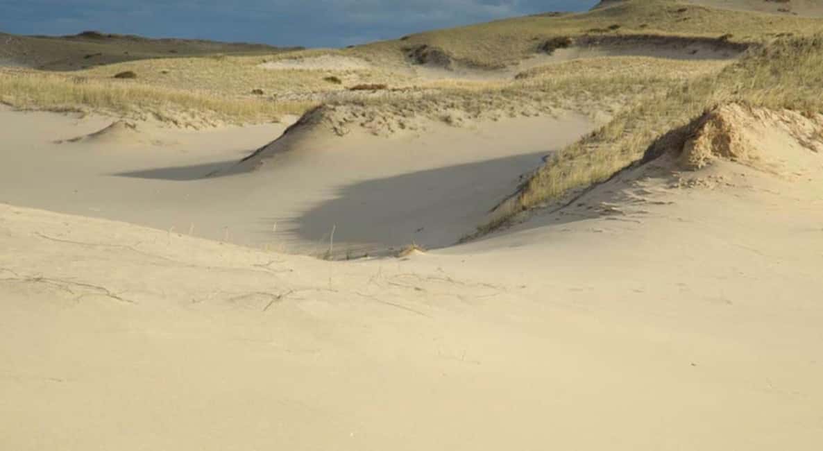Provincetown: Cape Cod National Seashore Park Dune Tour | GetYourGuide