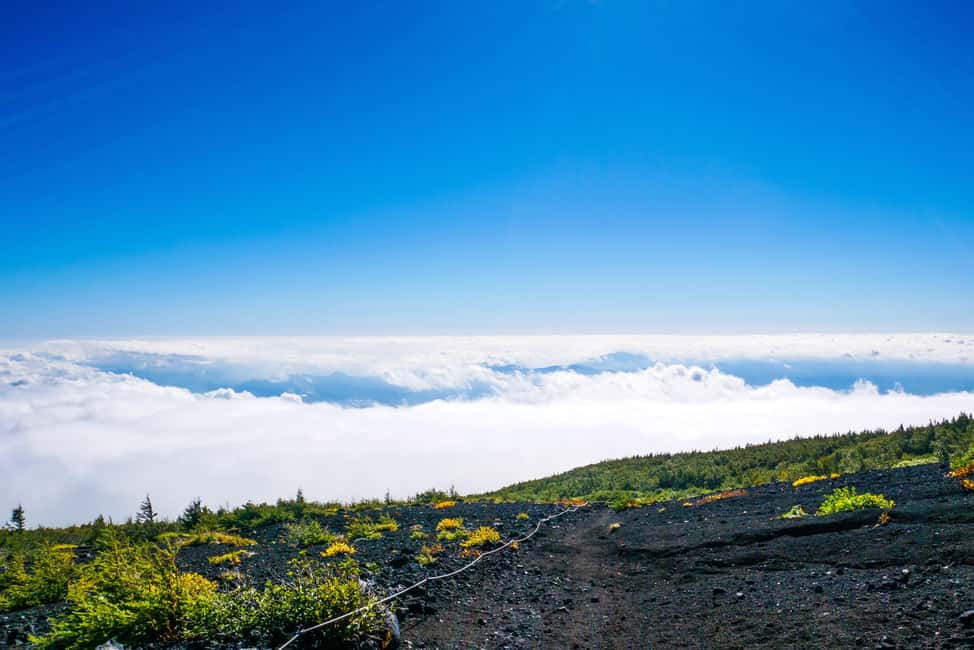 From Tokyo: Mt. Fuji Hiking Day Tour (5th to 7th Station) | GetYourGuide