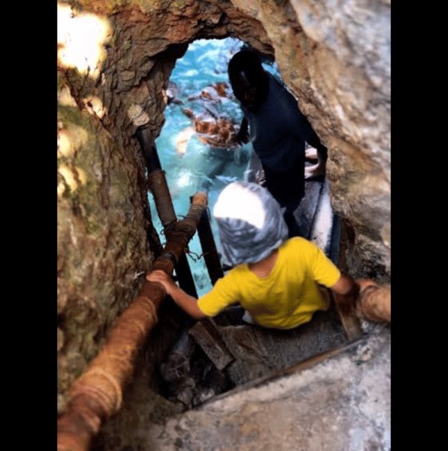 Zanzibar: Miza wa Miza Cave , Jozani forest &Salam Cave | GetYourGuide