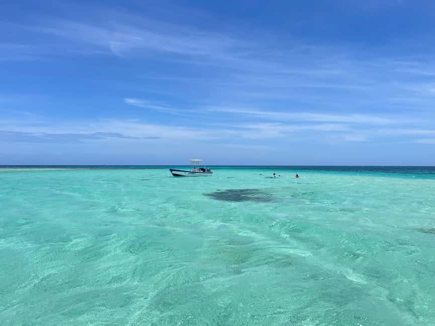 Roatan: Nurse Shark Snorkeling Adventure at Pigeon Cay | GetYourGuide