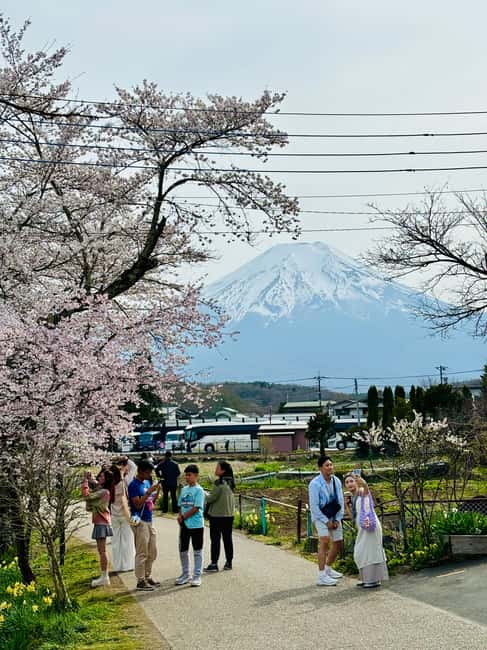 Tokyo: Mt. Fuji Private Day Trip with Local Japanese Guide | GetYourGuide