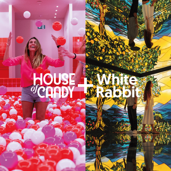 Barcelona Pass: White Rabbit & House of Candy Combo Ticket | GetYourGuide