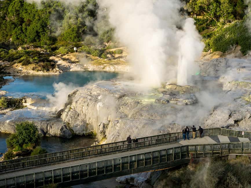 Te Puia: Te Pō Indigenous Combo - Tour, Dinner + Haka | GetYourGuide