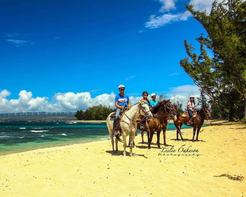 HORSE BACK RIDING PUERTO PLATA | GetYourGuide