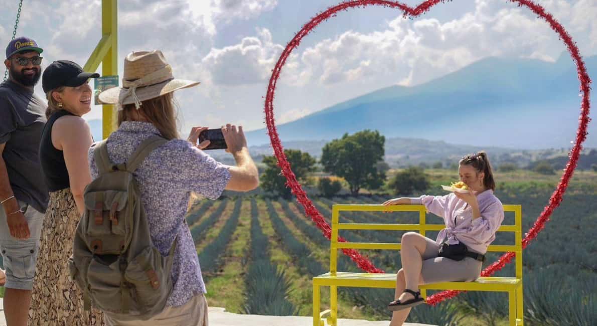 Premium Tequila Route with professional tasting | GetYourGuide