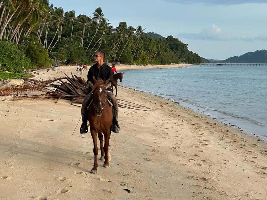 Koh Samui: Sunset Trail Horse Riding on The Beach | GetYourGuide