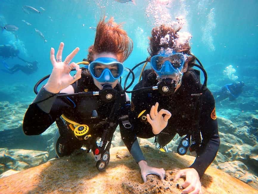 Cyprus: Beginners Scuba Diving Experience in Turtle Area | GetYourGuide