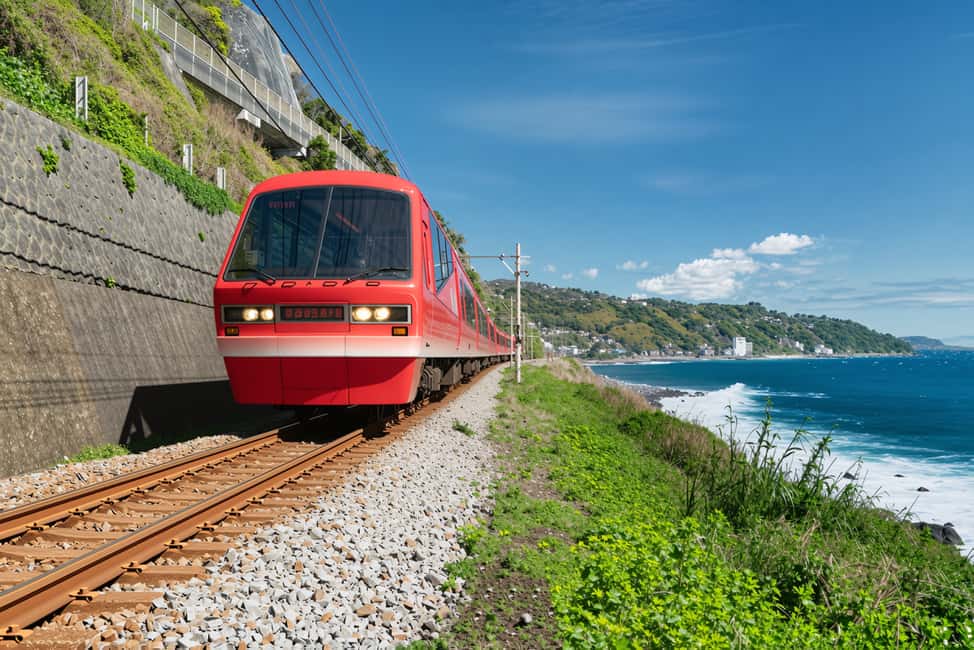 Tokyo:Izu Penisula Train Mt Omuro, Capybara Sightseeing Trip | GetYourGuide