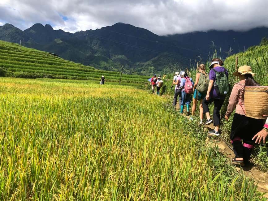From Hanoi: 2-Day Sapa Cultural Exchange Tour with Homestay | GetYourGuide