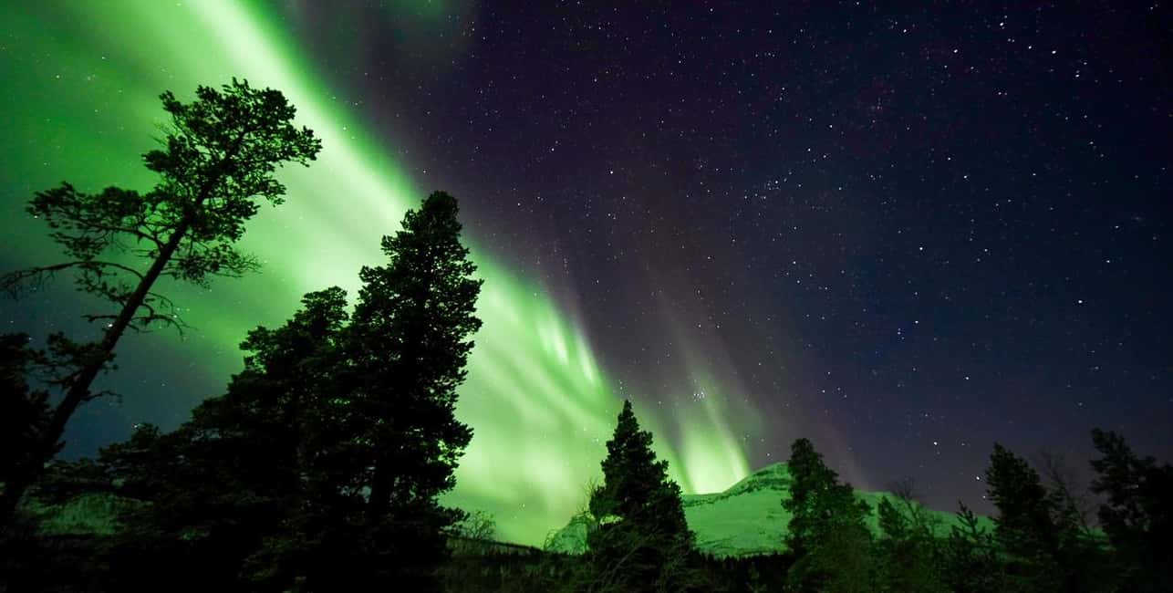 Tromsø: Northern Lights Chase with Local Guide | GetYourGuide