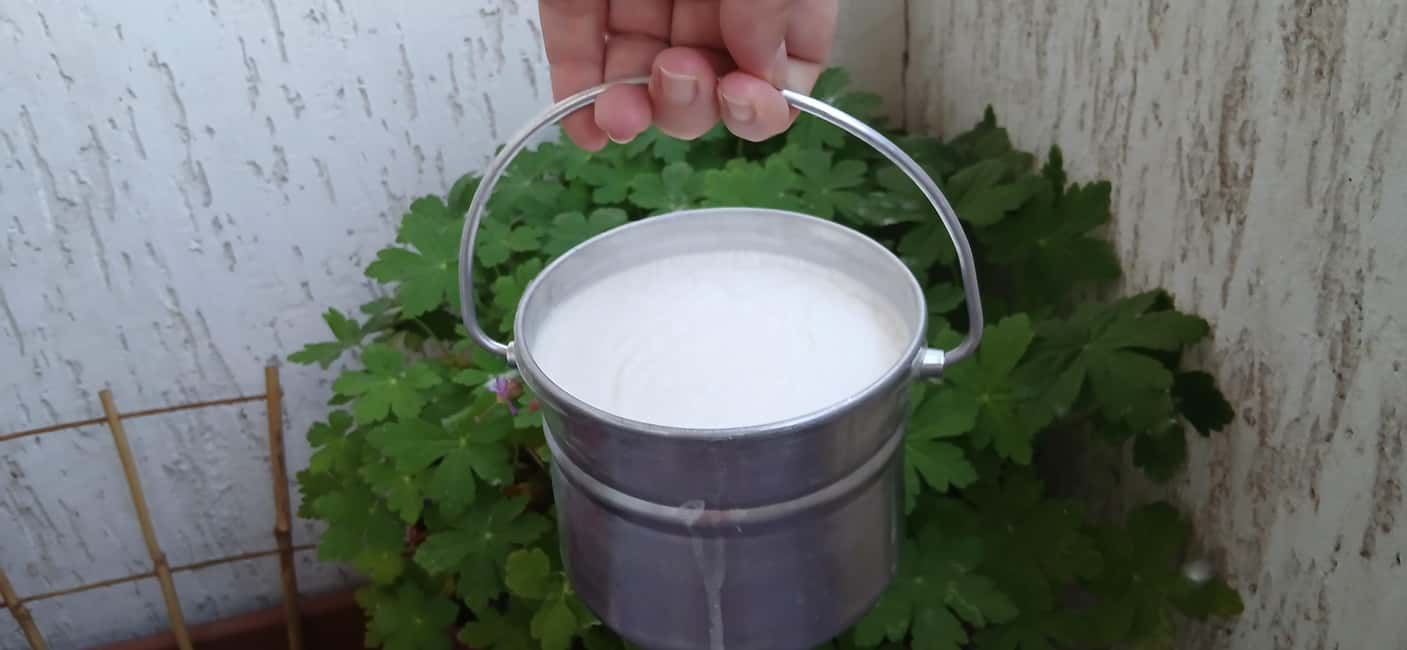 Sofia: Taste Bulgarian Yogurt Kiselo Mlyako in a Family Home | GetYourGuide