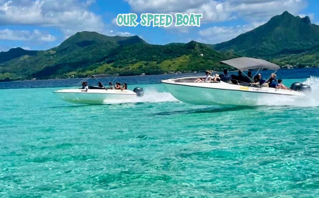 Maurice : île Benitier - Nager avec les dauphins - Bateau à moteur et ...