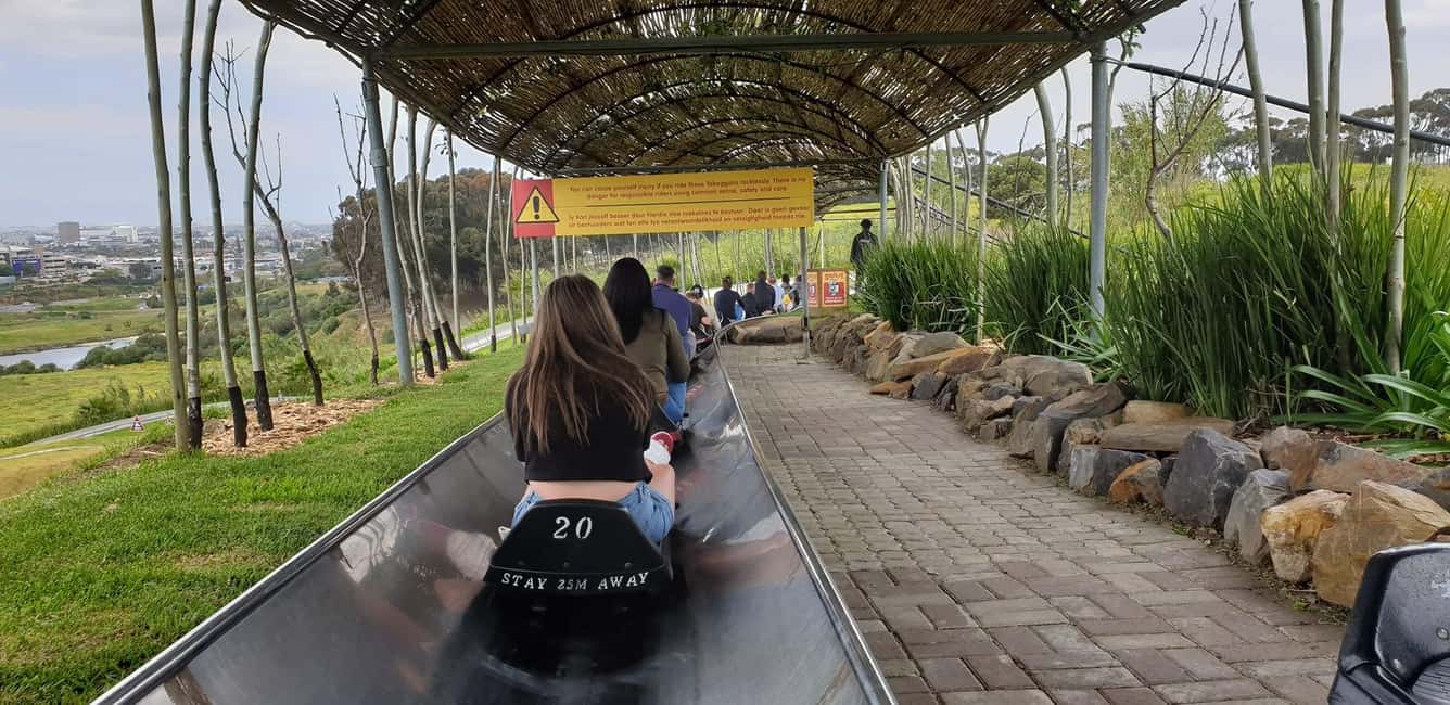 Cape Town: Cool Running/Toboggan Adventure and Hotel Pickup | GetYourGuide