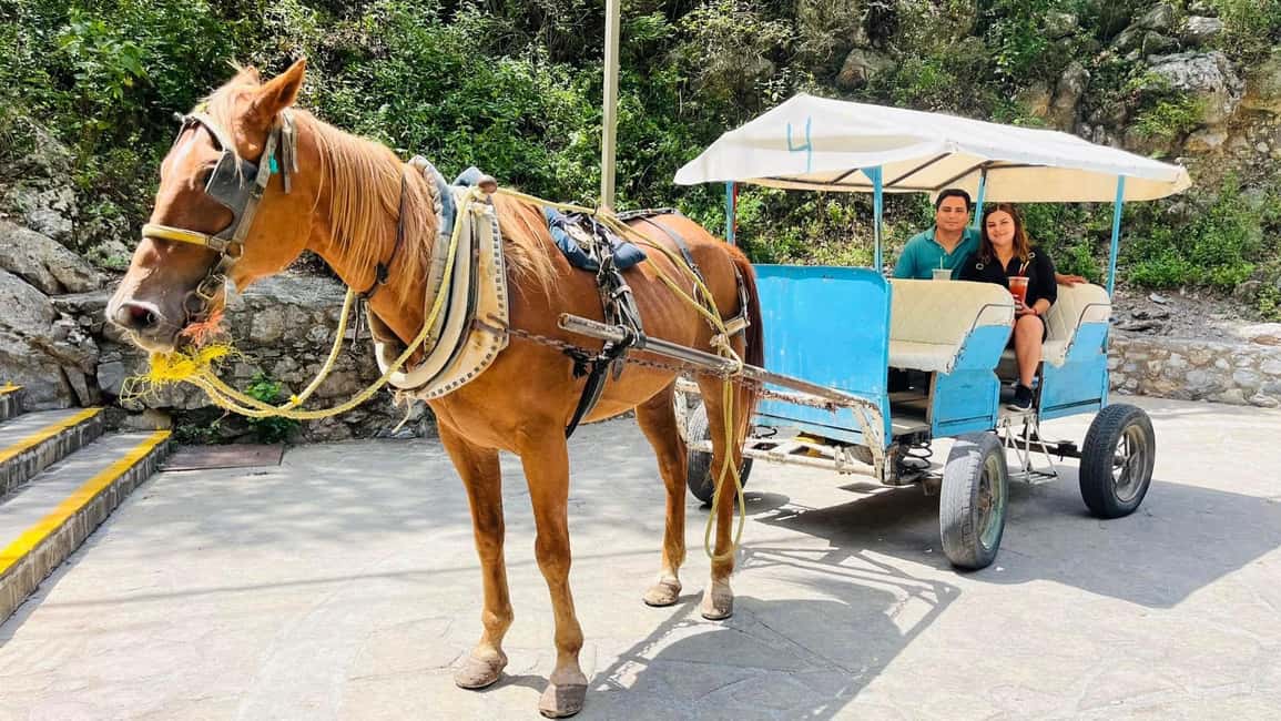 Excursión "Cola de Caballo", con guía, traslado y tickets de entrada ...