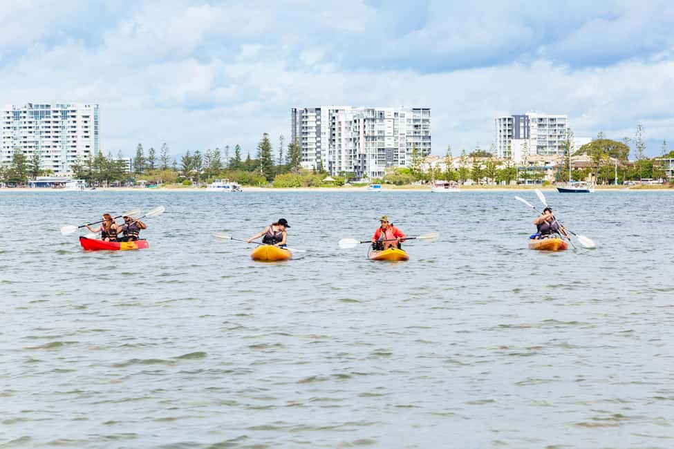 Gold Coast: Wave Break Island Kayaking & Snorkeling tour | GetYourGuide