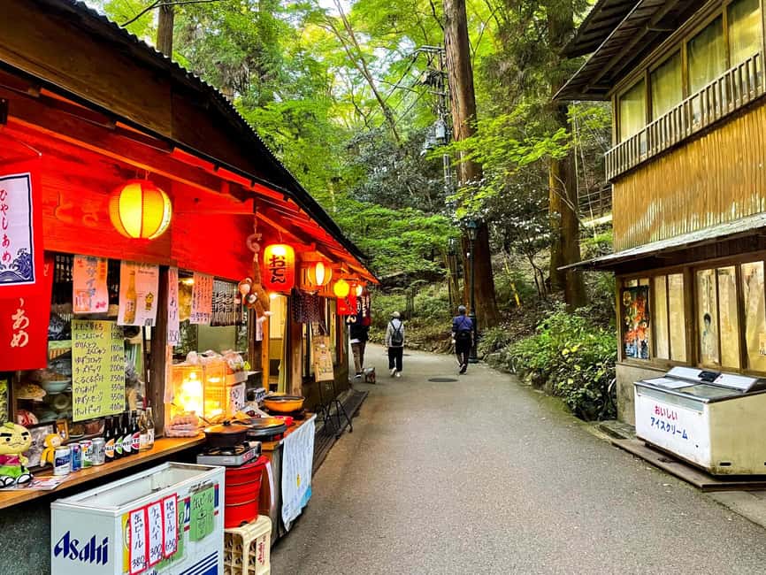 Osaka: Minoh, Katsuoji Temple, & Minoh Falls Full-day Tour | GetYourGuide