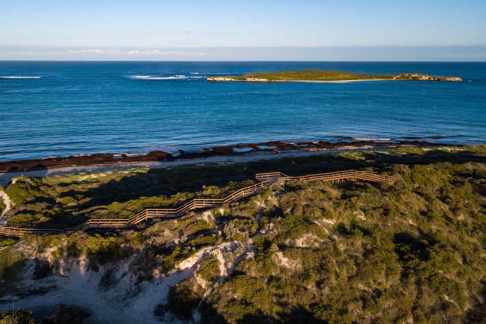 From Perth: Pinnacles Sunset and Stargazing Tour with Dinner | GetYourGuide