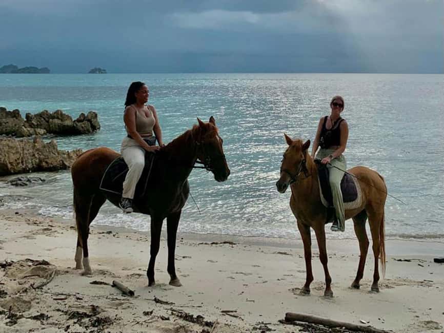 Koh Samui: Sunset Trail Horse Riding on The Beach | GetYourGuide