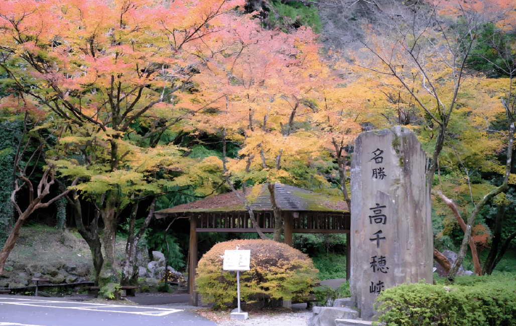 Fukuoka: Miyazaki, Takachiho Gorge Boat and Shrines Day Tour | GetYourGuide