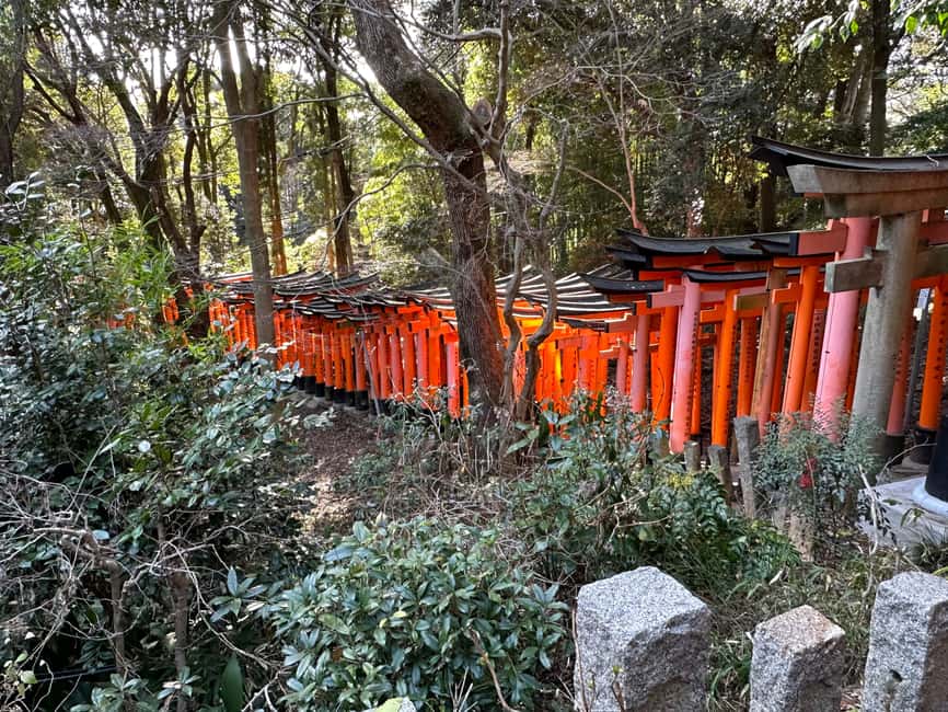 Kyoto: Fushimi Inari Food Tour - 15 Dishes in 4 Eateries | GetYourGuide