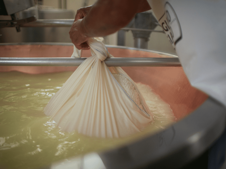 Parmesan Cheese Tour & Tasting close to Modena | GetYourGuide