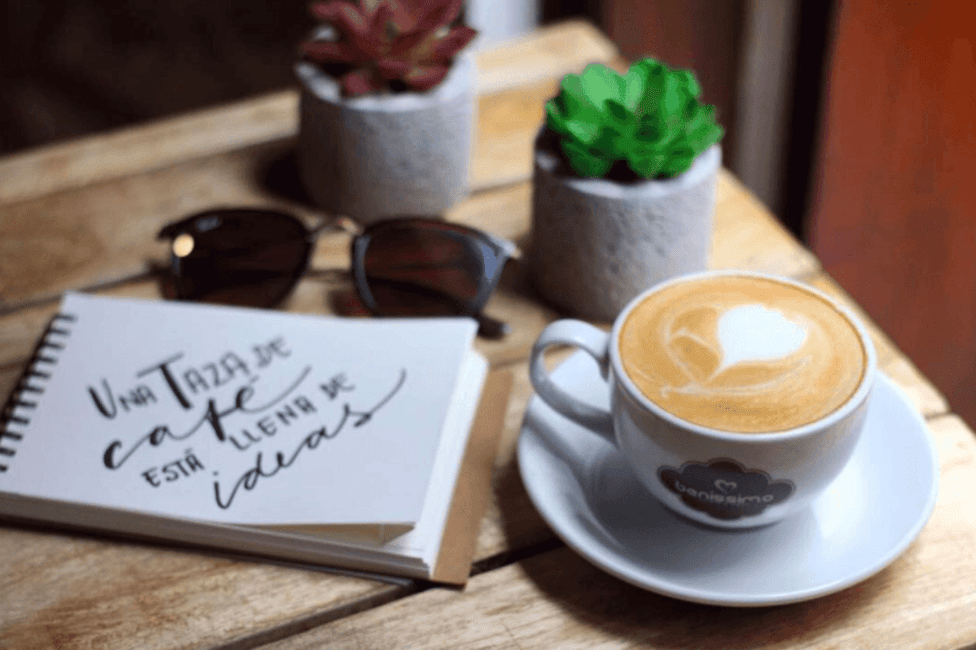 Panama Geisha Coffee and Chocolate Tasting Private Tour | GetYourGuide