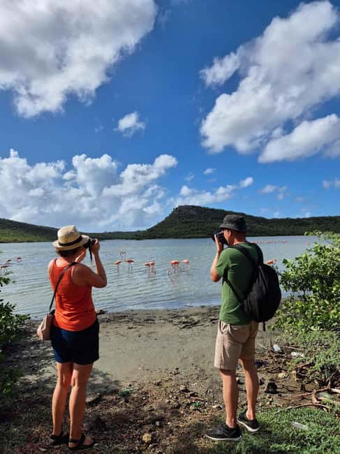 Immerse yourself in the Culture of Curaçao: Local Food, Sweets, and ...